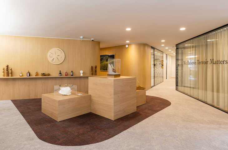 ReForm Transition: One carpet collection, six amazing office looks